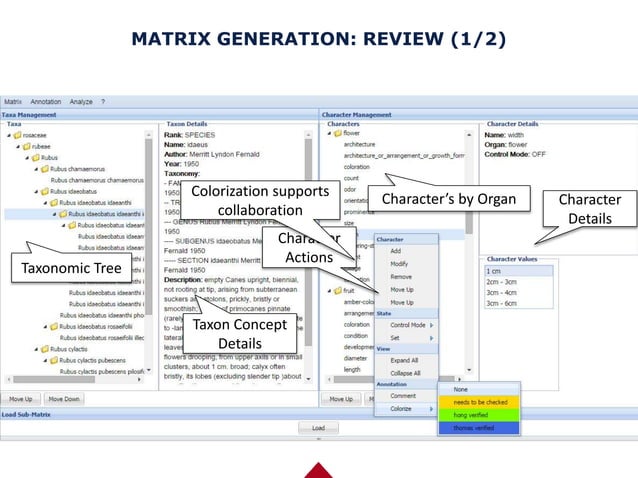 Explorer Of Taxon Concepts Etc From Description To Matrix And Beyond In A Web Based Toolbox
