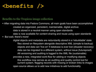Using Fedora Commons To Create A Persistent Archive | PPT