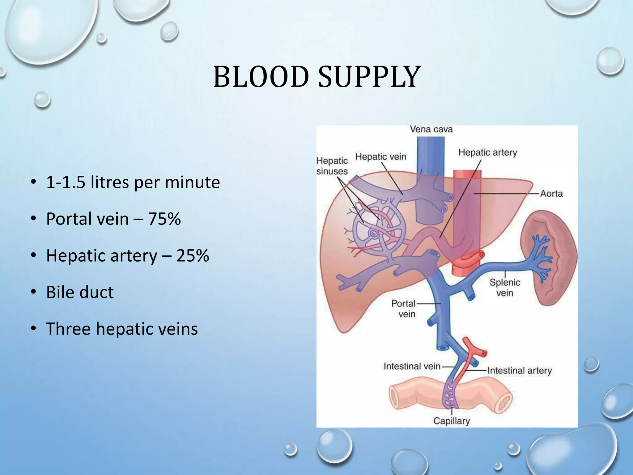 Liver resection indications & methods | PPTX | Blood Disorders ...