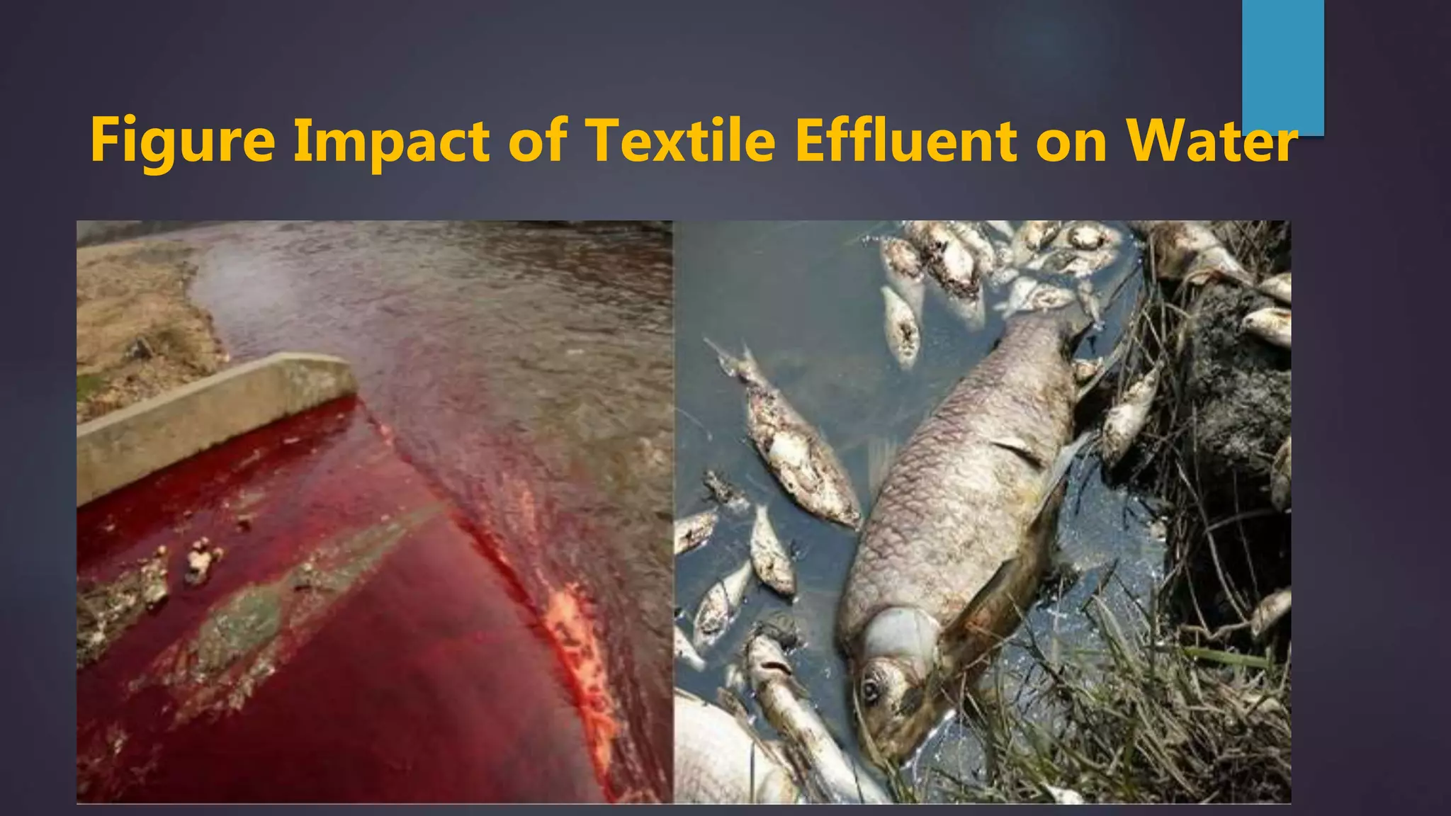 Impact of Textile Effluent on Environment | PPTX