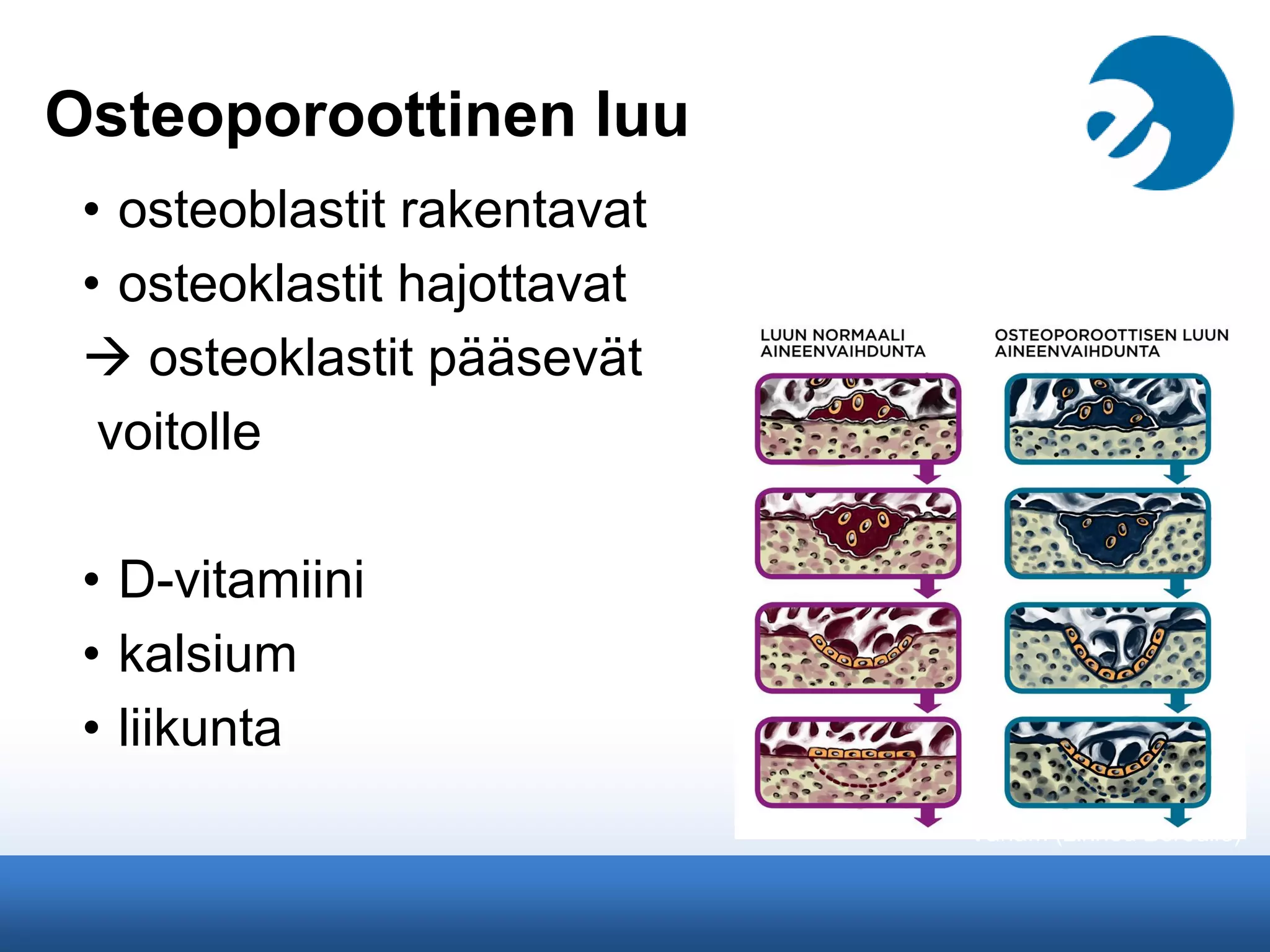 Te 1 4_10_tuki_ja_liikuntaelinsairaudet | PPT