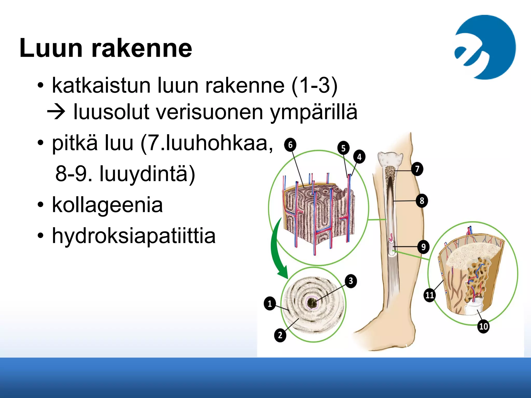 Te 1 4_10_tuki_ja_liikuntaelinsairaudet | PPT