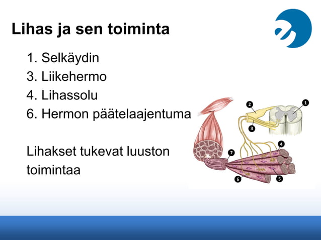 Te 1 4_10_tuki_ja_liikuntaelinsairaudet | PPT