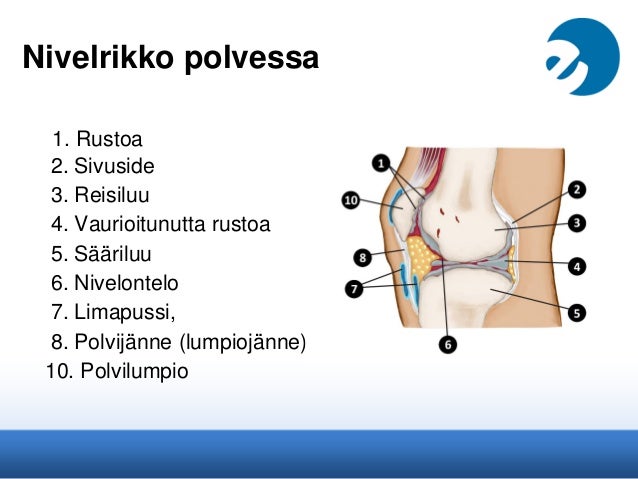 Te 1 4_10_tuki_ja_liikuntaelinsairaudet