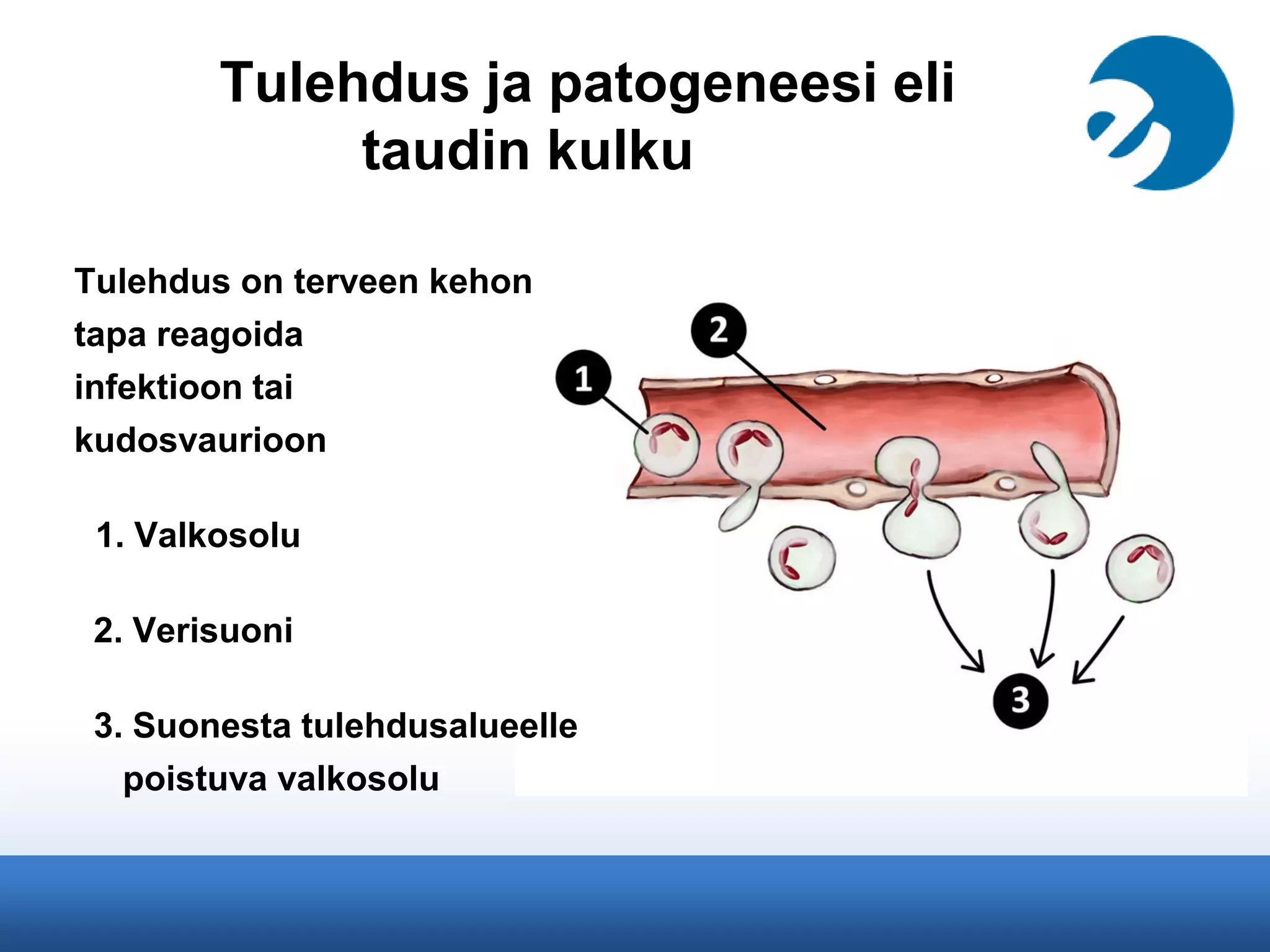 Te 1 4_1_tulehdus | PDF