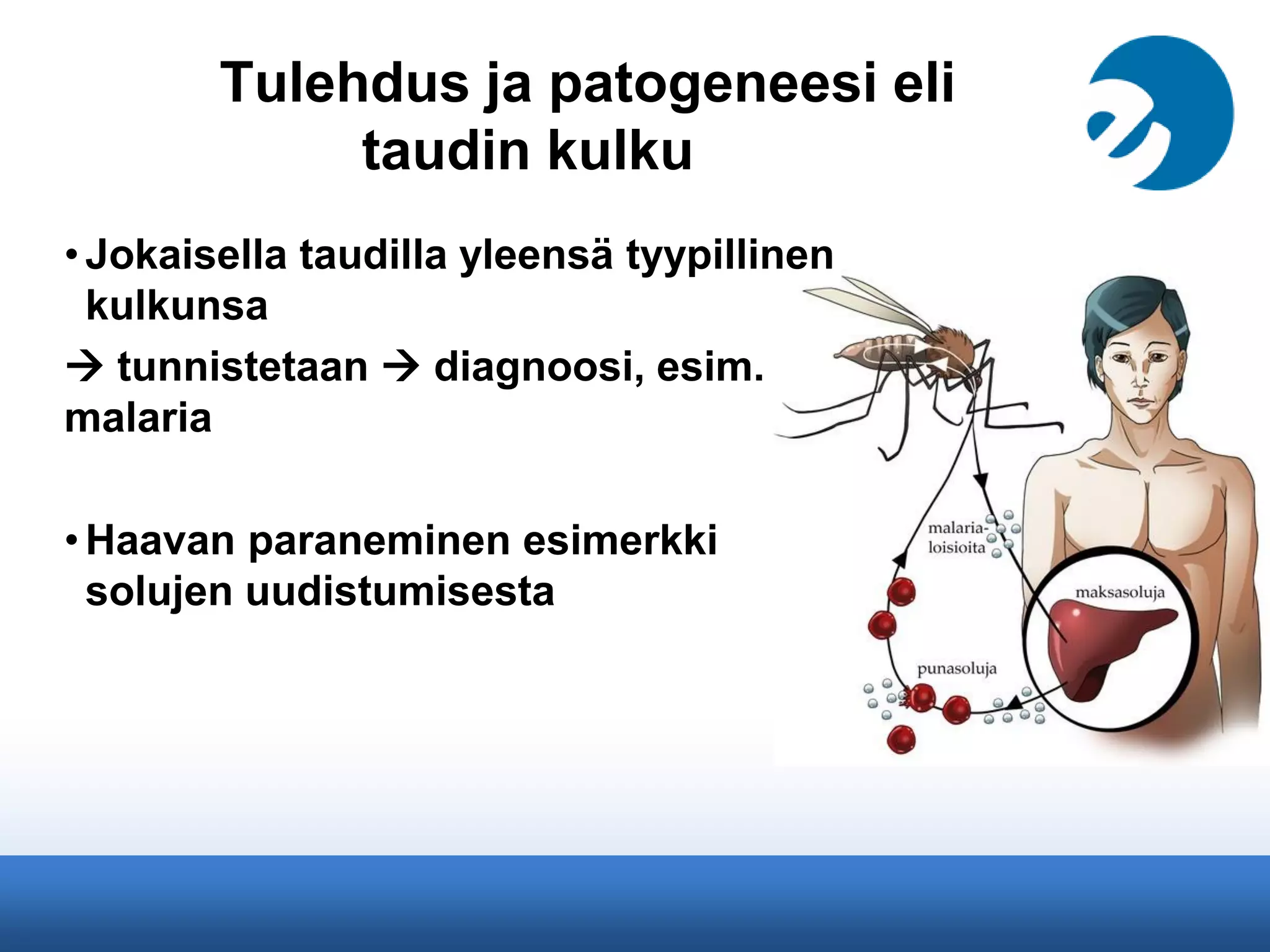 Te 1 4_1_tulehdus | PDF