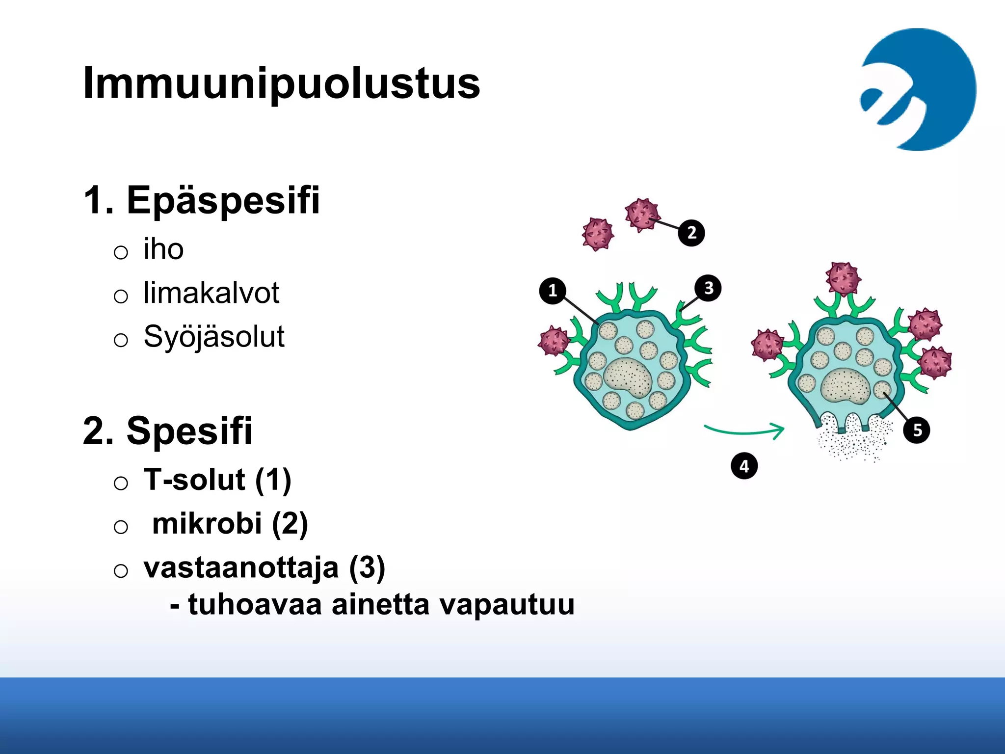 Te 1 4_7_tartuntaudit | PDF
