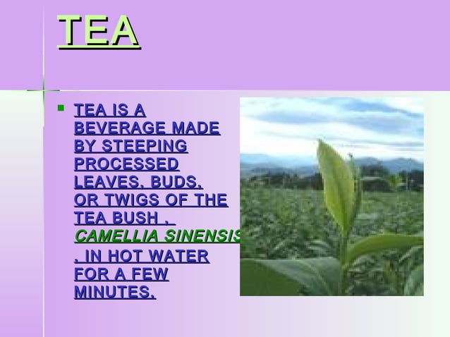 Tea | PPT