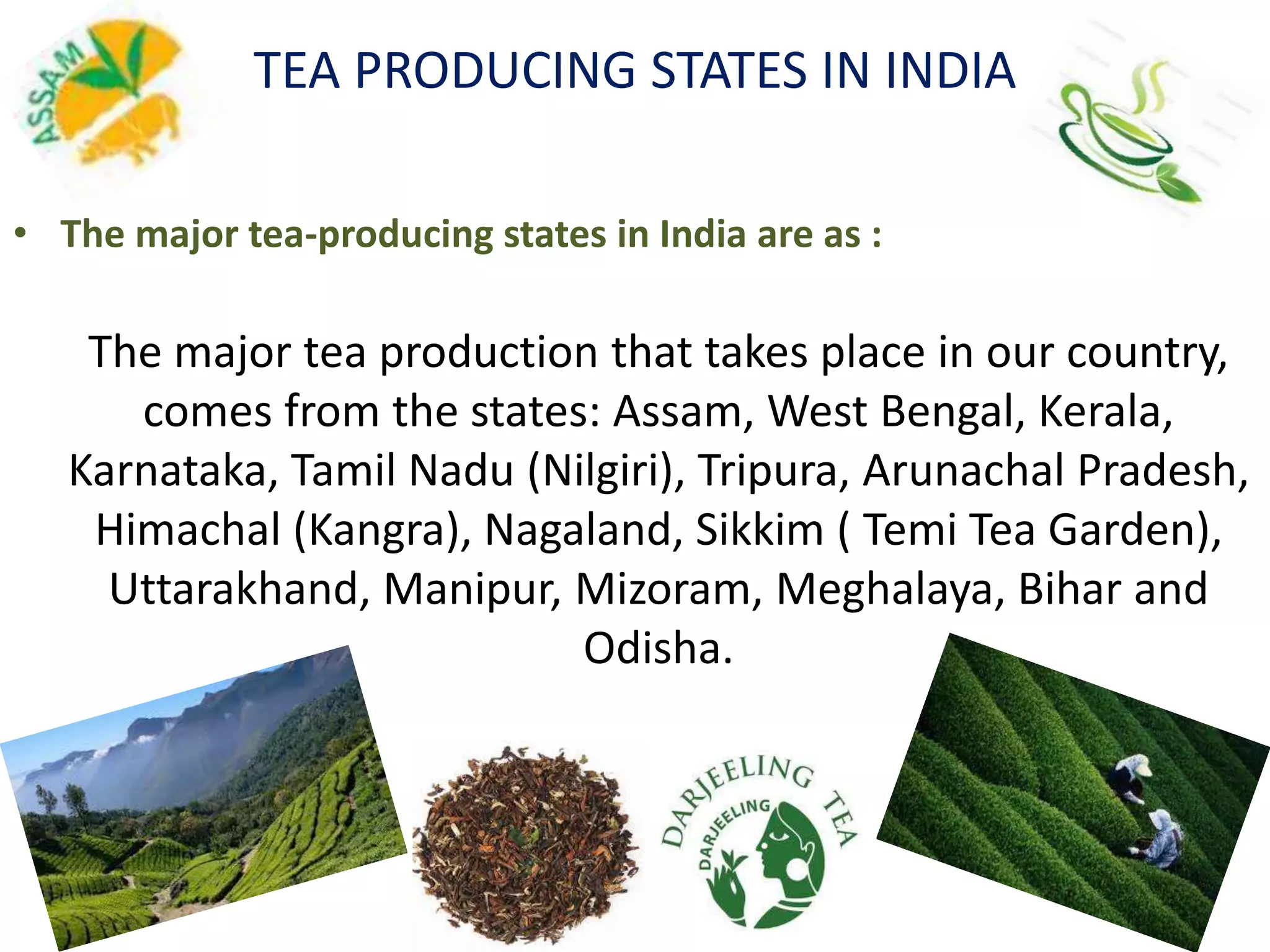 Know about Tea "Camellia Sinesis" | PPTX