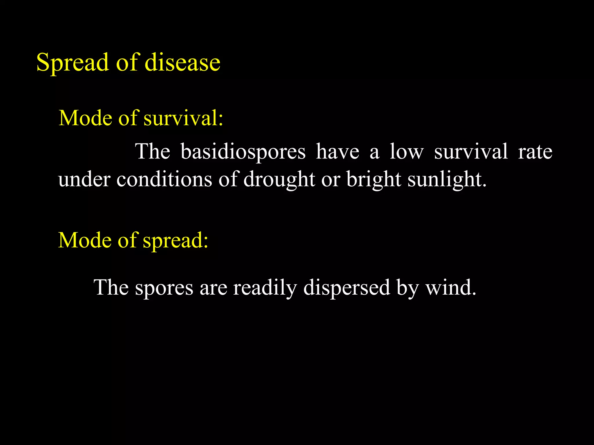 Tea blister blight | PPT