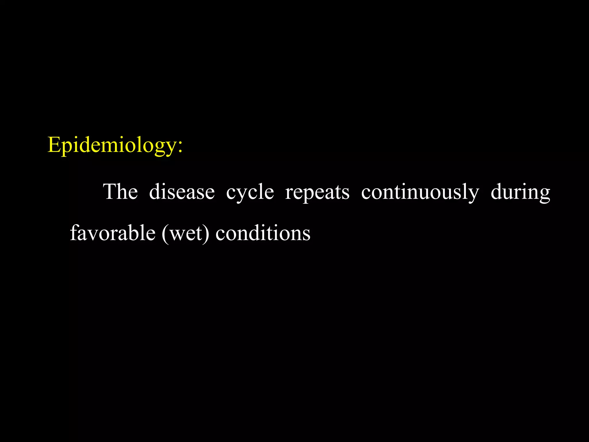 Tea blister blight | PPT