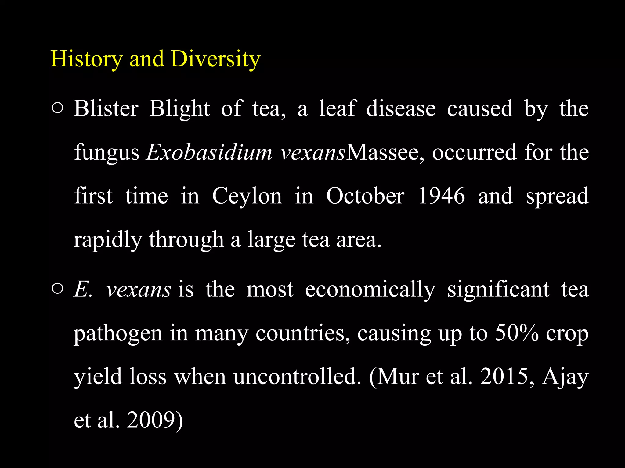 Tea blister blight | PPT