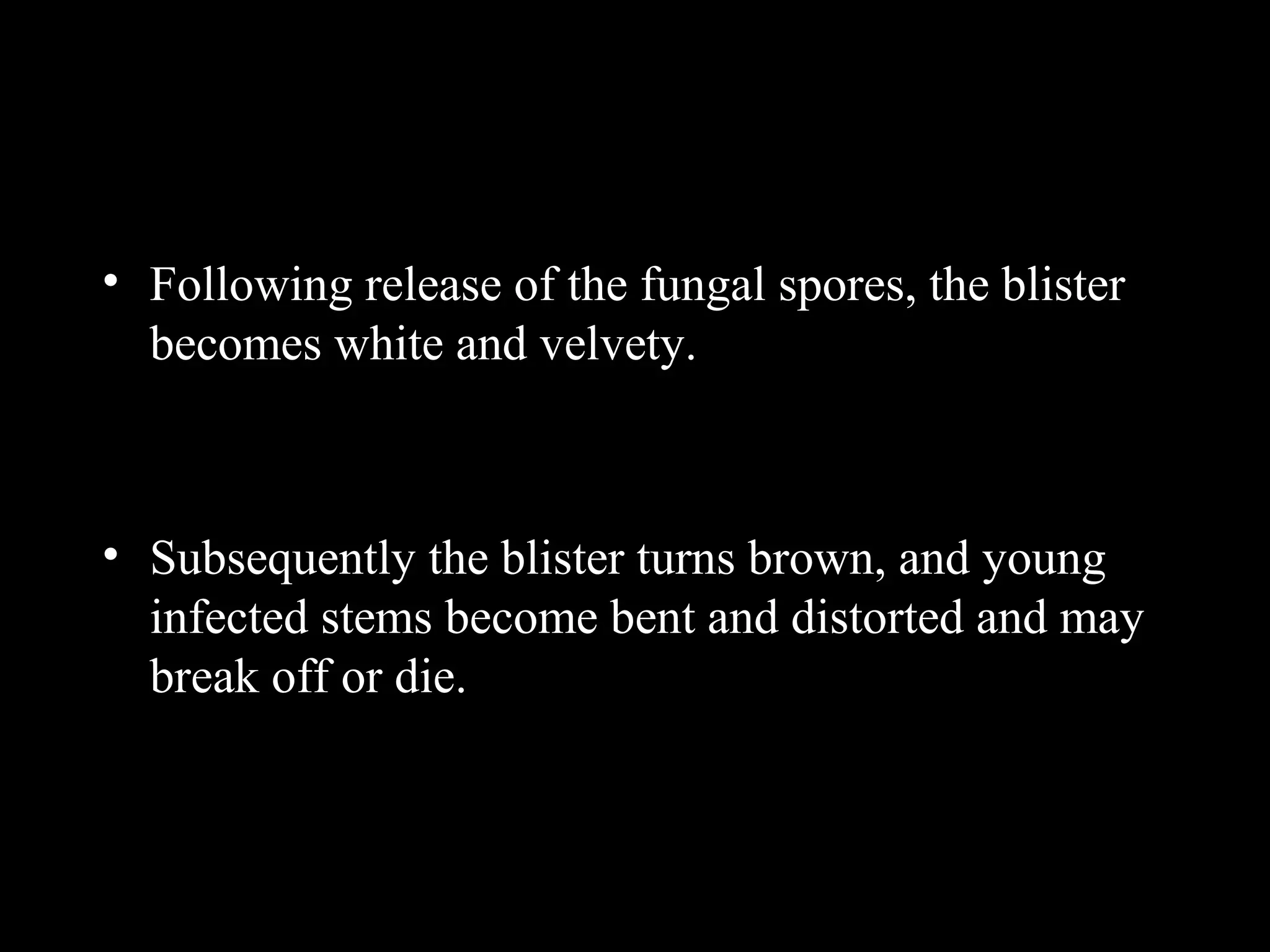 Tea blister blight | PPT