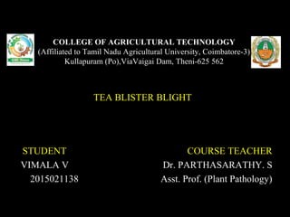 Tea blister blight | PPT