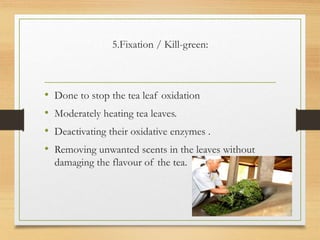 Tea | PPTX