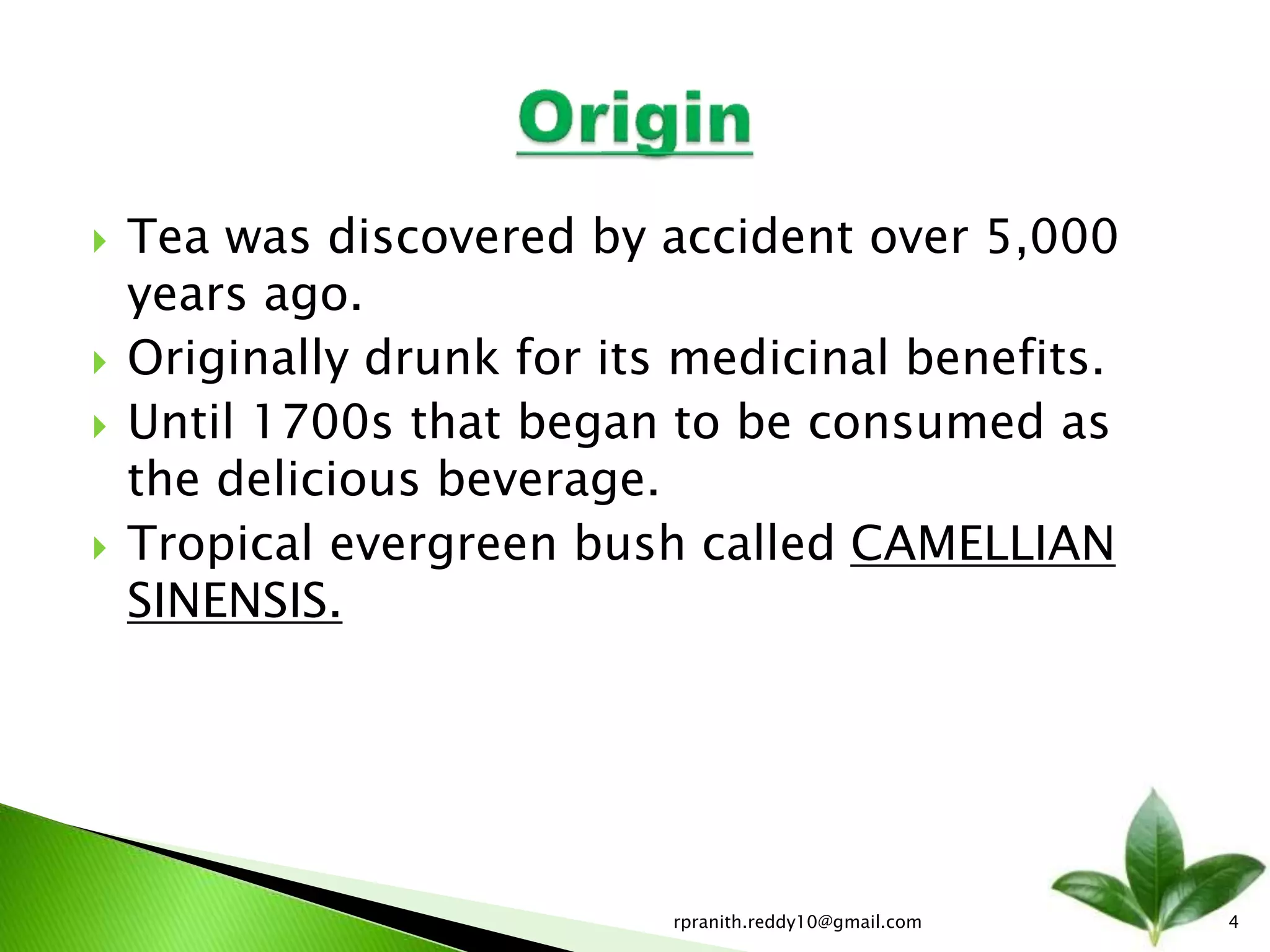 Tea Manufacturing Process | PPTX