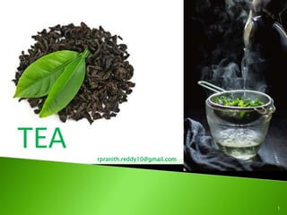 Tea Manufacturing Process | PPTX