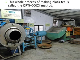 Tea Manufacturing Process | PPTX