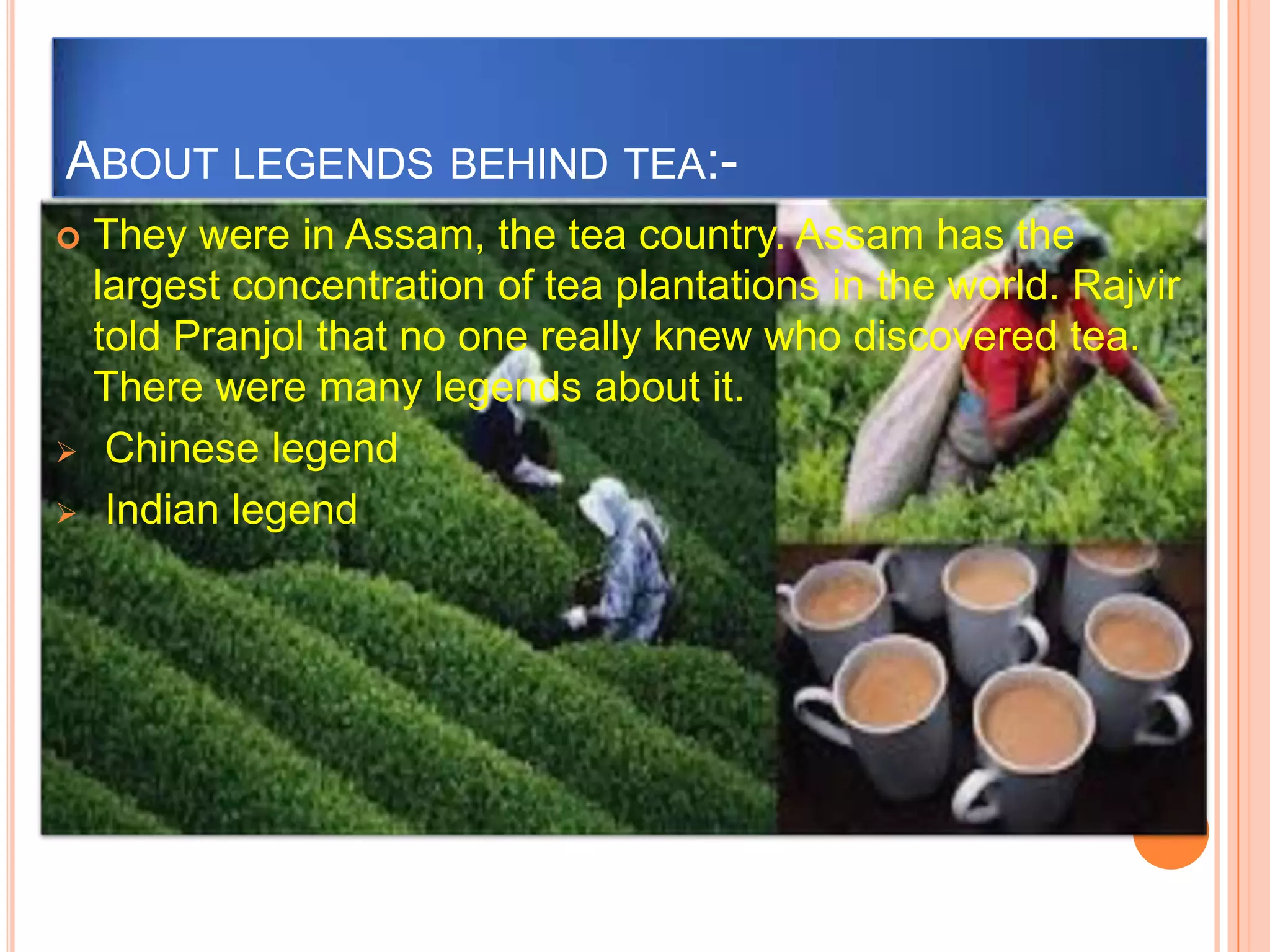 Tea from assam | PPTX