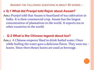 Tea from assam | PPTX