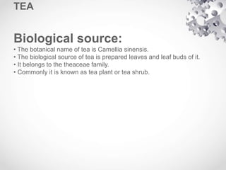 Tea.pptx