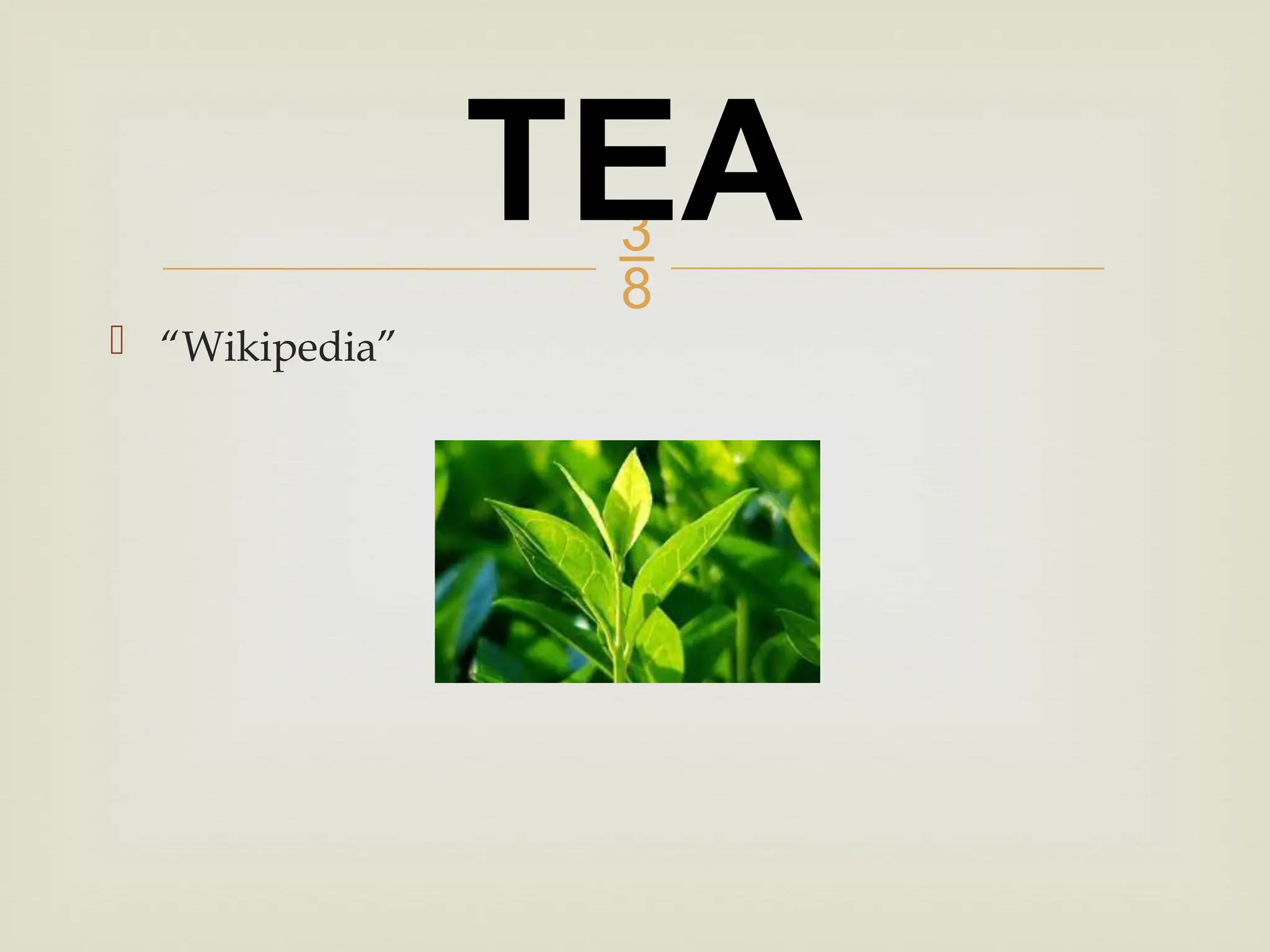 tea pawer point presentation tea catacorys | PPTX