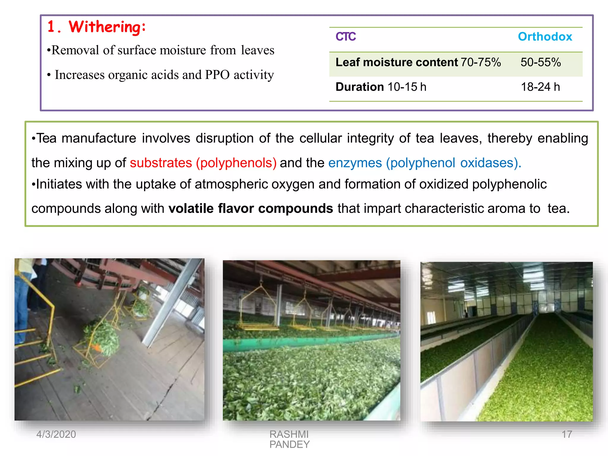 Tea- cultivation and processing.pptx