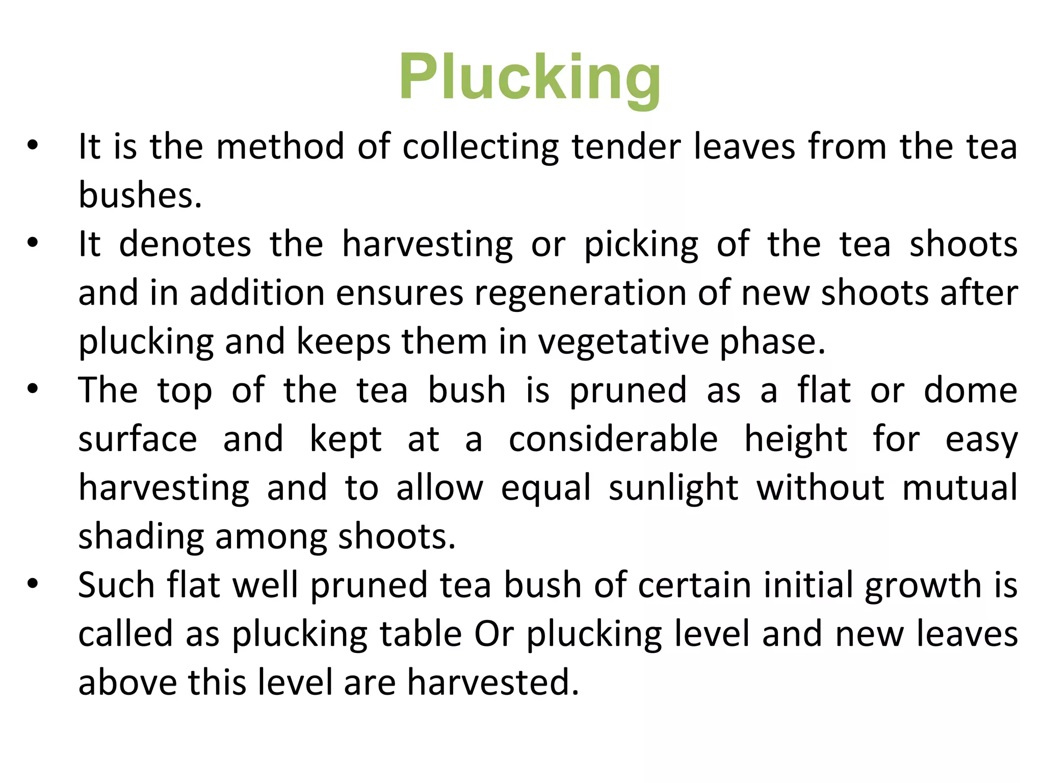 Tea- cultivation and processing.pptx