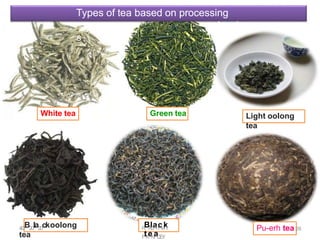 Tea- cultivation and processing.pptx