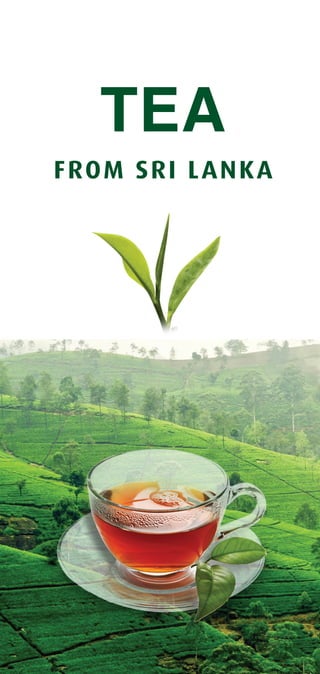 Ceylon Tea, the World's Finest Tea | PDF