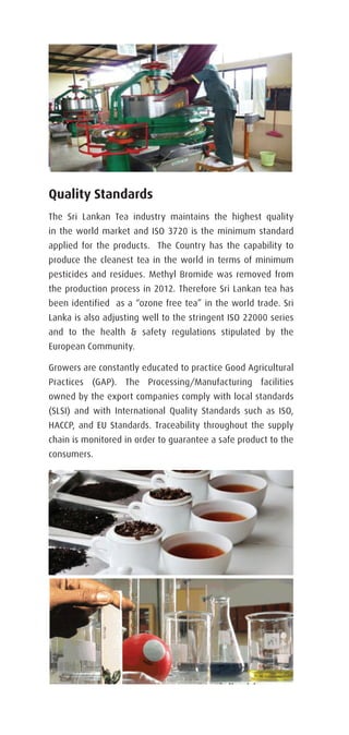 Tea from Sri Lanka | PDF