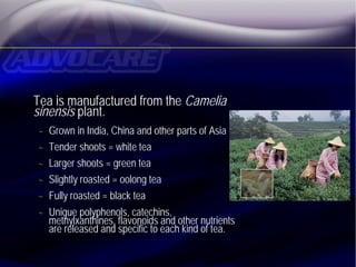 Tea Slides | PPT