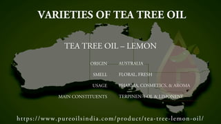 Tea Tree Oil | PDF