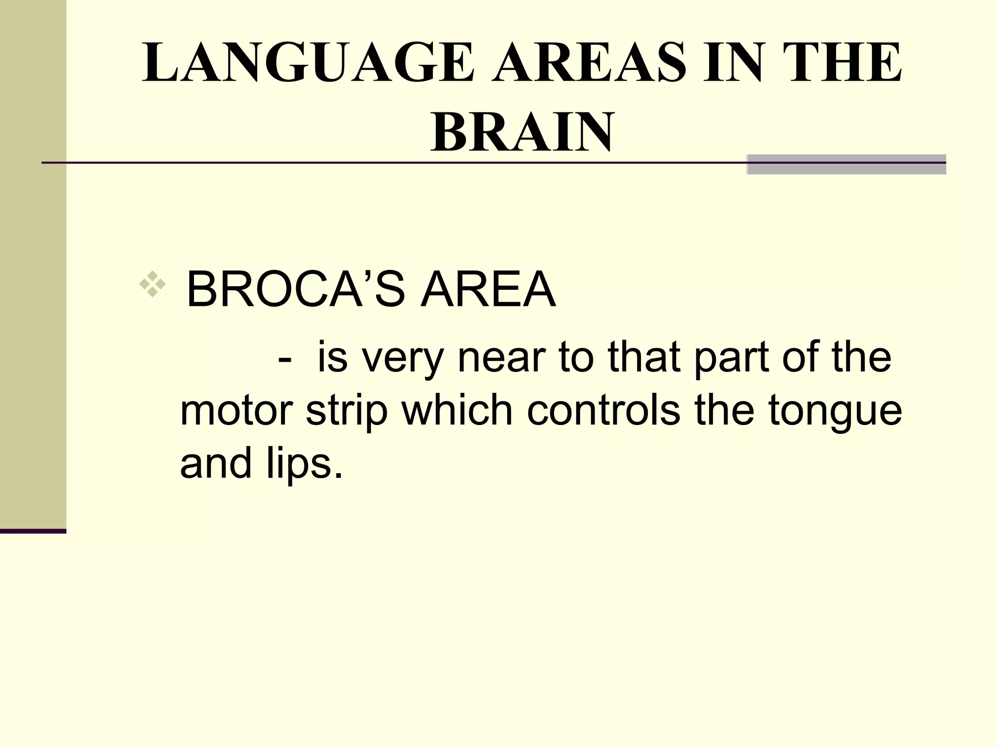 BIOLOGICAL BASIS OF LANGUAGE LEARNING | PPT