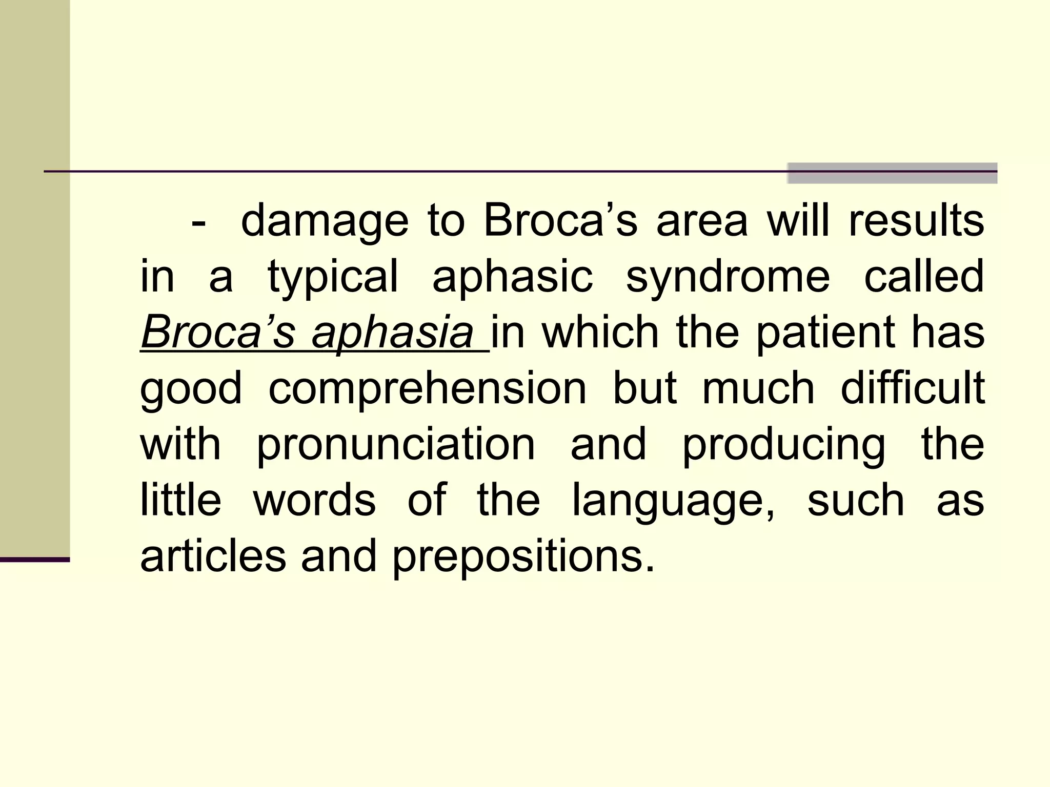 BIOLOGICAL BASIS OF LANGUAGE LEARNING | PPT