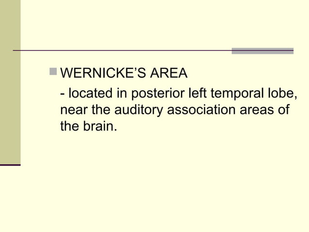 BIOLOGICAL BASIS OF LANGUAGE LEARNING | PPT | Brain and Nervous System ...
