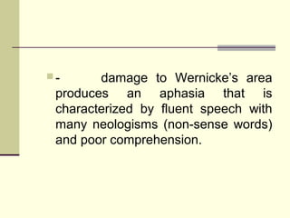 BIOLOGICAL BASIS OF LANGUAGE LEARNING | PPT