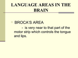 BIOLOGICAL BASIS OF LANGUAGE LEARNING | PPT