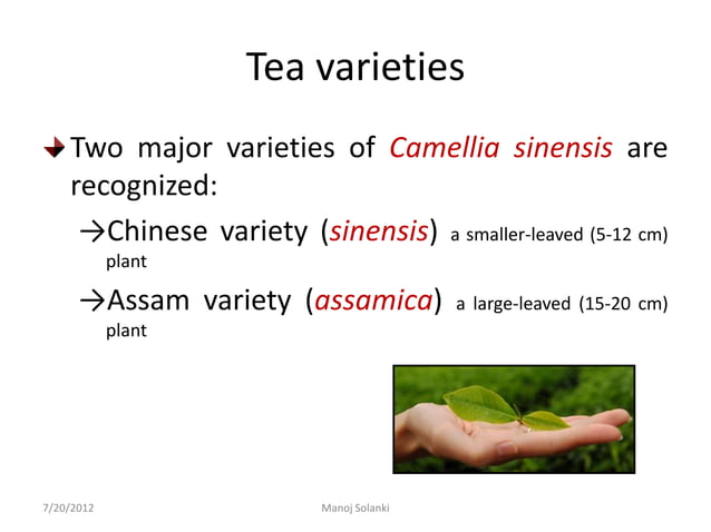 Tea chemistry | PPTX | Chemistry | Science