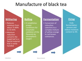 Tea chemistry | PPTX