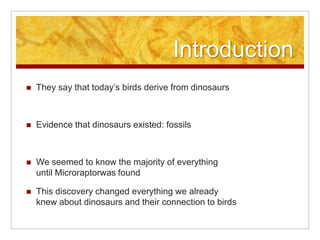 The Four Winged Dinosaur | PPT