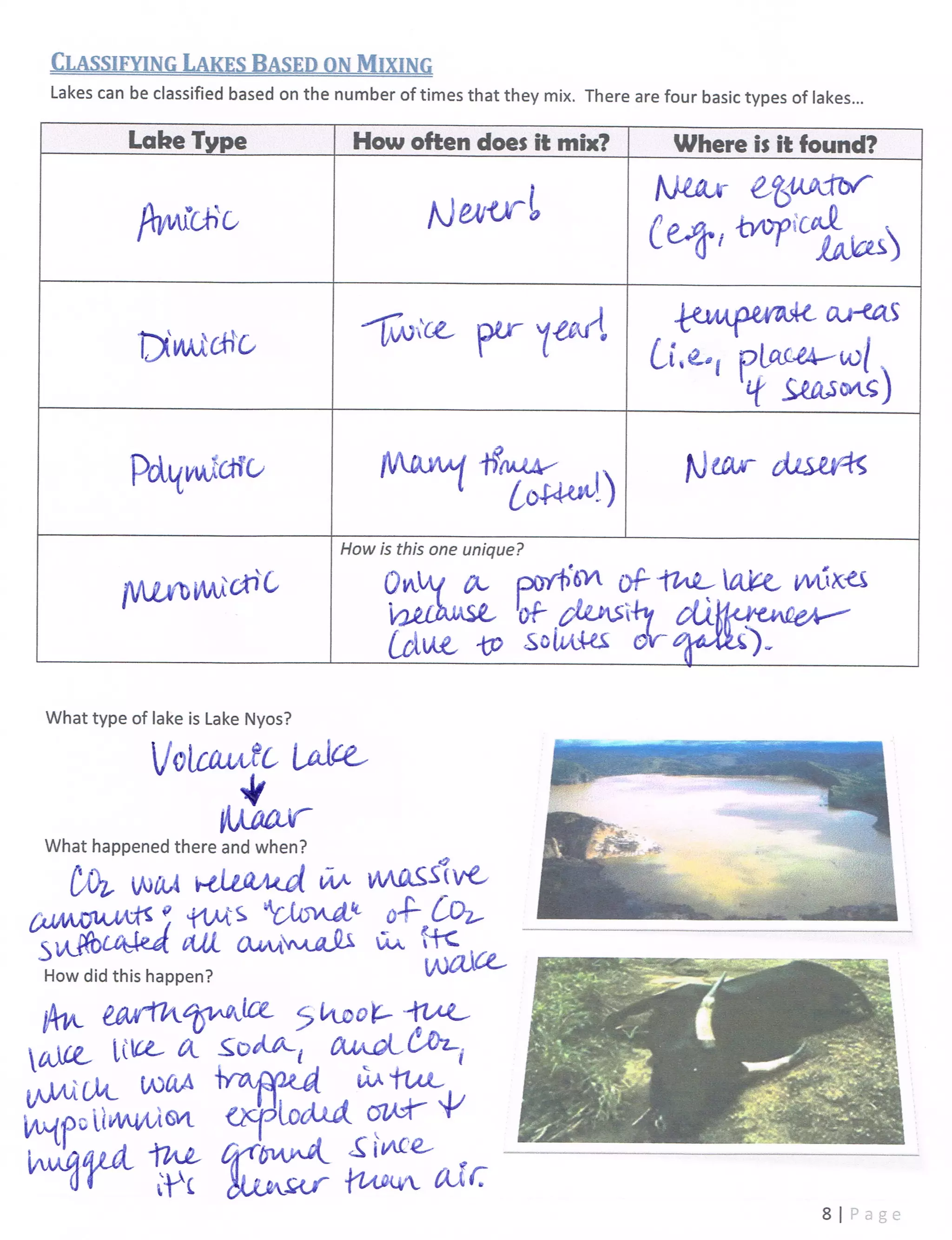 Teacher Notes: Aquatic Ecosystems and Water Pollution | PDF ...