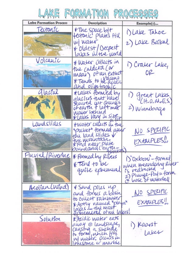 Teacher Notes: Aquatic Ecosystems and Water Pollution | PDF ...