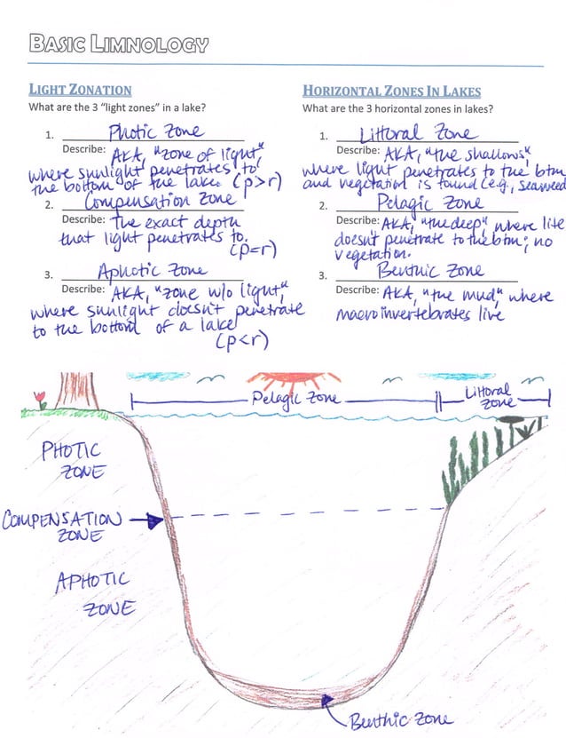 Teacher Notes: Aquatic Ecosystems and Water Pollution | PDF ...