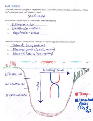 Teacher Notes: Aquatic Ecosystems and Water Pollution | PDF ...