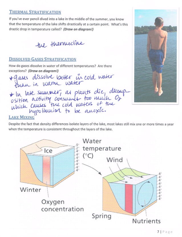 Teacher Notes: Aquatic Ecosystems and Water Pollution | PDF ...
