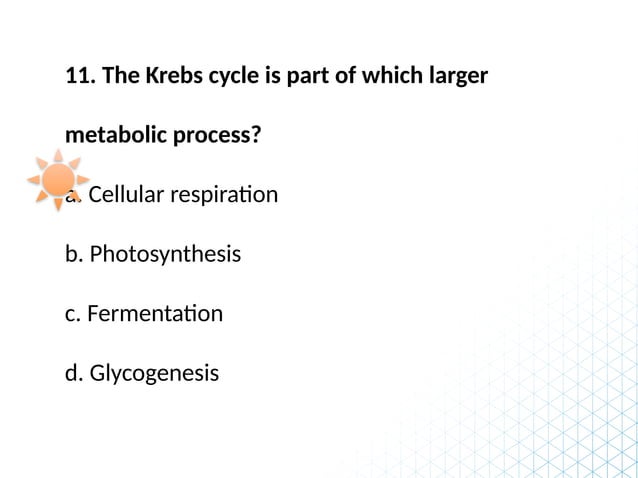 Teacher PowerPoint_3_ Cellular Respiration (2).pptx