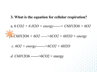 Teacher PowerPoint_3_ Cellular Respiration (2).pptx
