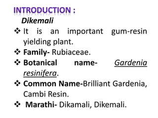 GARDENIA RESINIFERA | PPTX