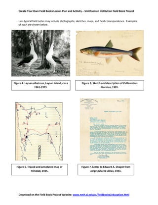 Create Your Own Field Notes Lesson Plan and Activity, 2012 ed | PDF